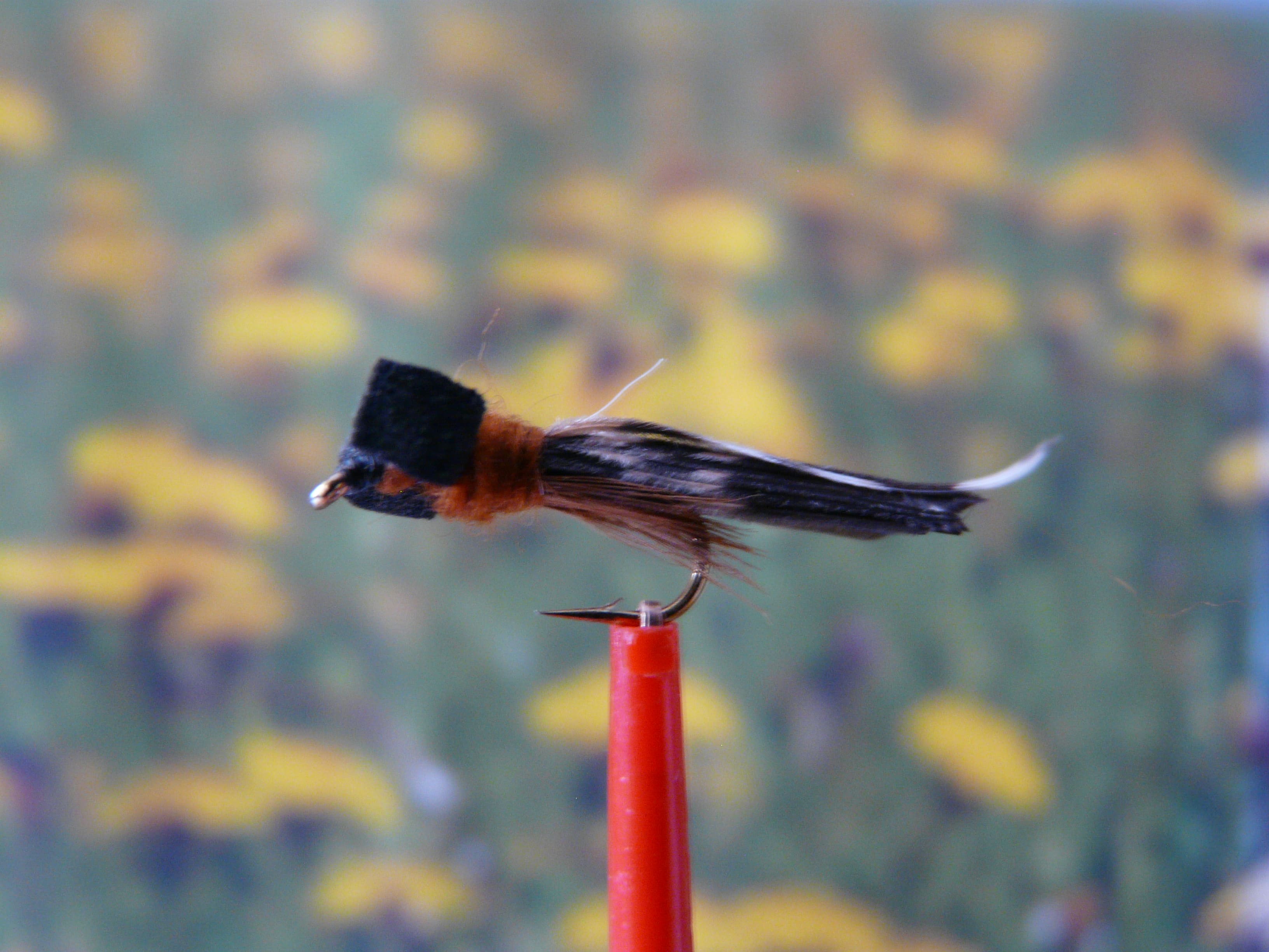 Nymphe " Caddis Puppa Brown " | Nymphen | Fliegen | shimafishing.com