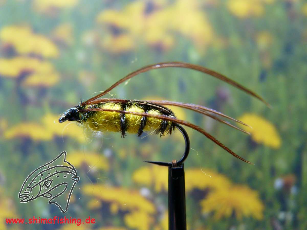 Nymphe " Large Yellow Corixa " auf Schonhaken, barbless hook | Nymphen ...